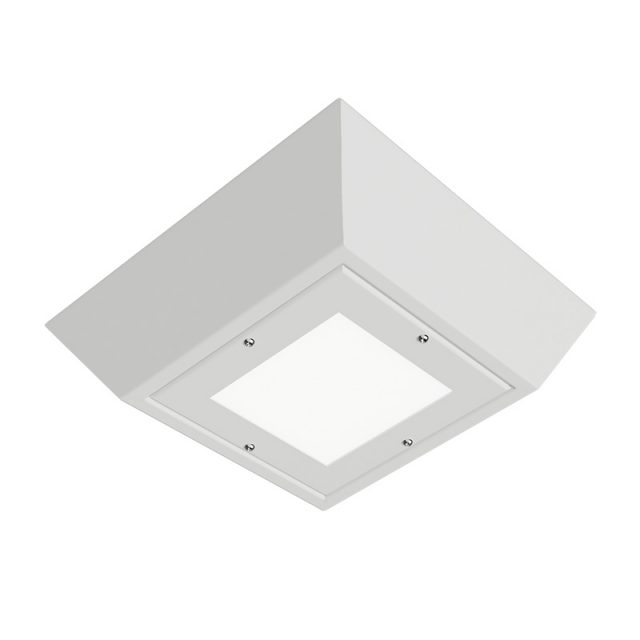 BASWL - Surface Mount LED Correctional Vandal Resistant Prison Grade ...
